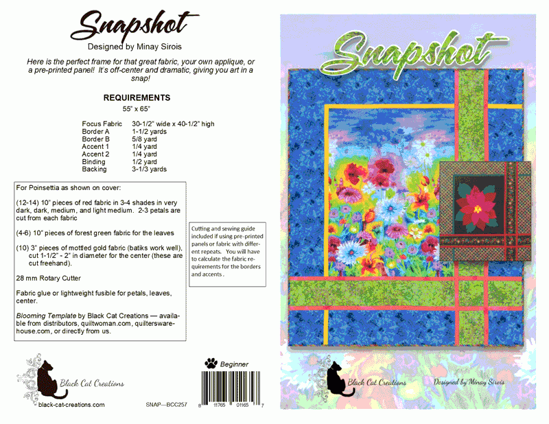 Snapshot Quilt Pattern – Mended Hearts Quilting & Boutique
