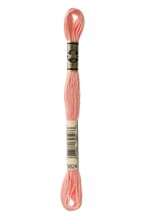 DMC 6 Strand Embroidery Floss - 3824 Strawberry Chew – Mended Hearts ...